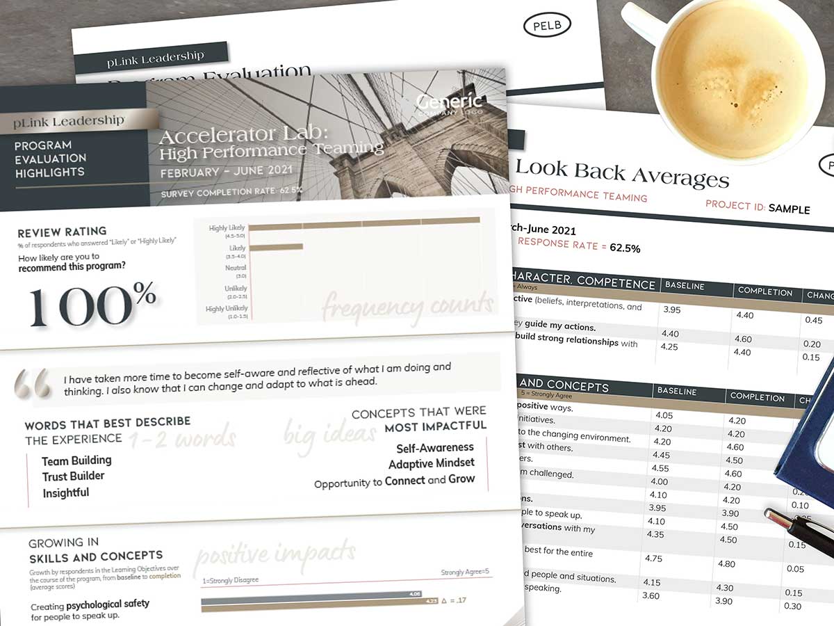 Our Impact – pLink Leadership