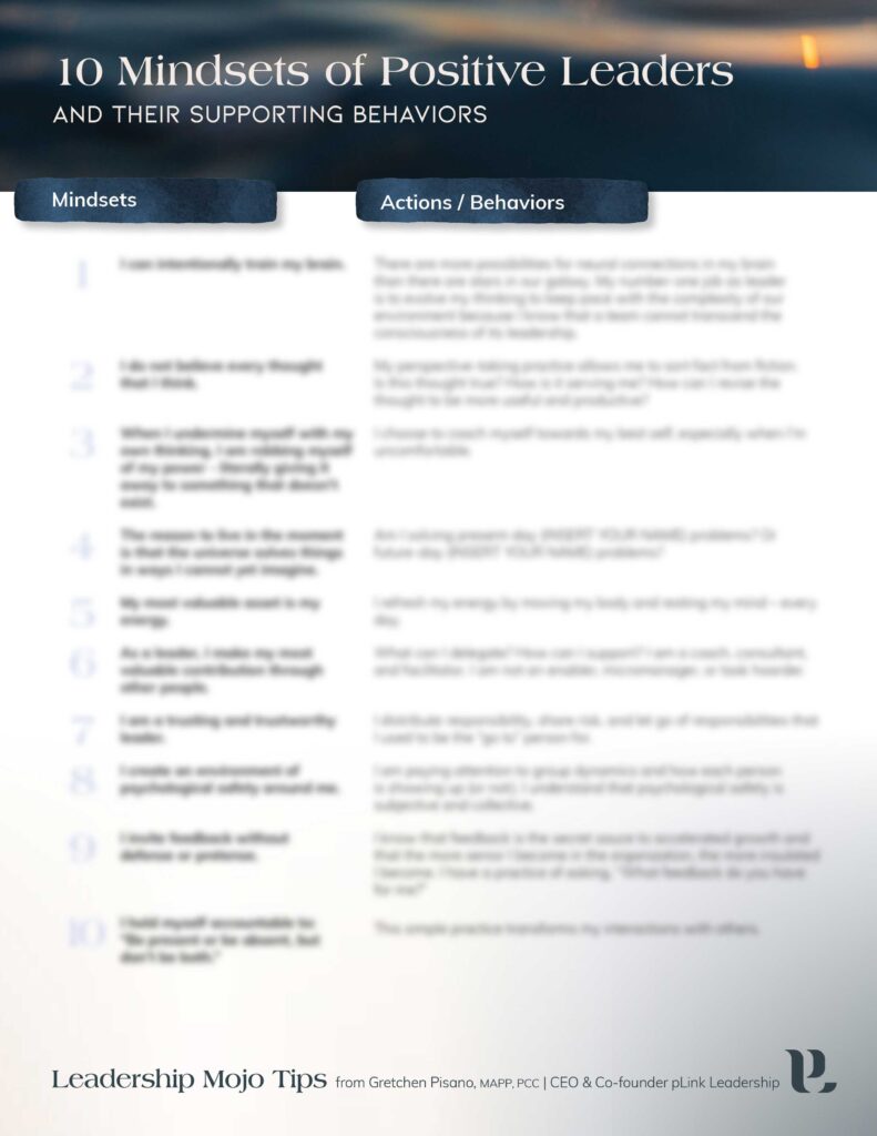 10 Mindsets of Positive Leaders – pLink Leadership