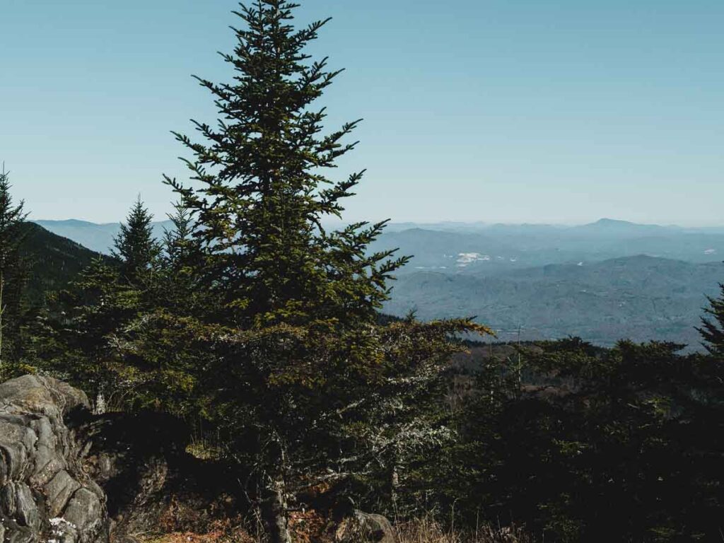 The Four Levels of Leadership – pLink Leadership